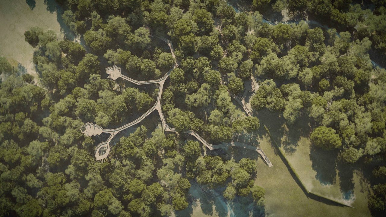 Normafa Canopy Walkway | HELLO WOOD