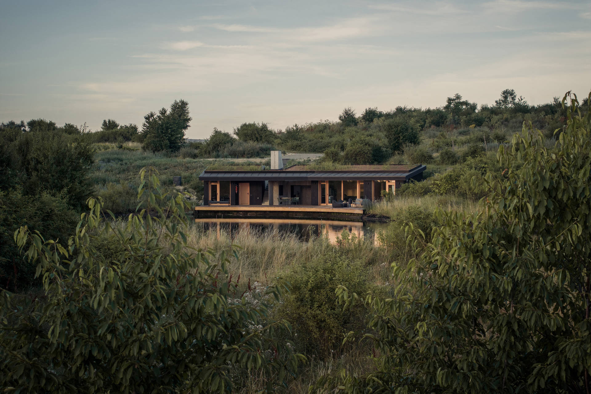 PEBL Grand | HELLO WOOD